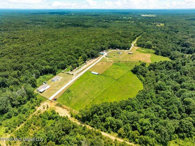 137 Sugar Creek Rd, Carriere, MS 39426