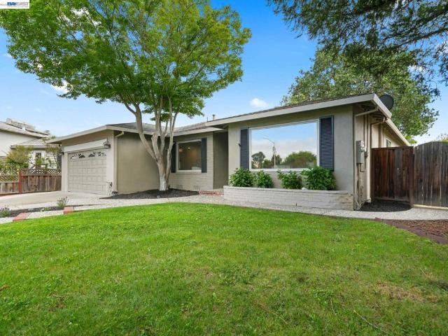 137 Wilton Pl