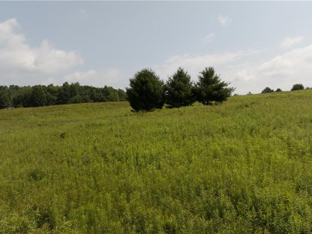 137 Windham Road