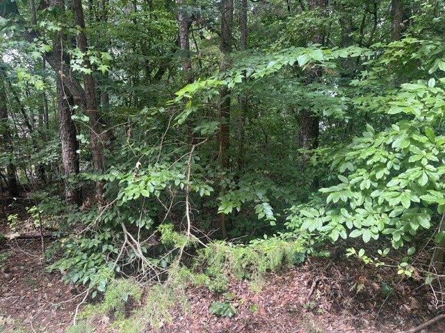 137 Tulip Ln, Westminster, SC 29693