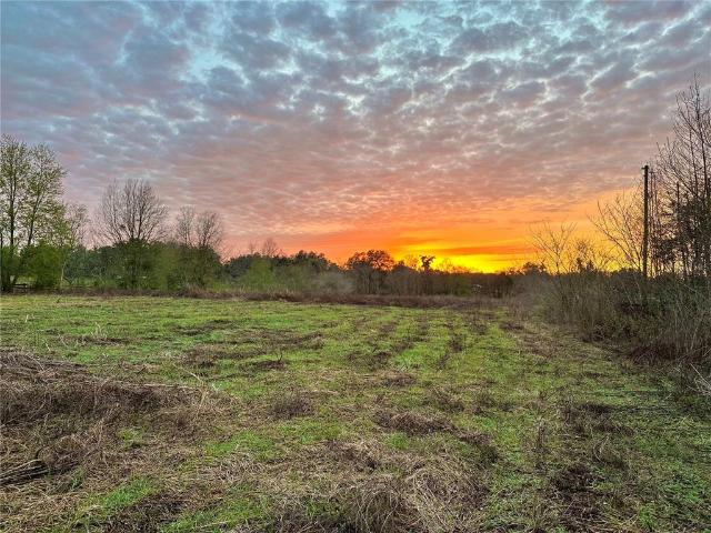 13844 NW 21st Ct, Citra, FL 32113 | MLS #OM715965