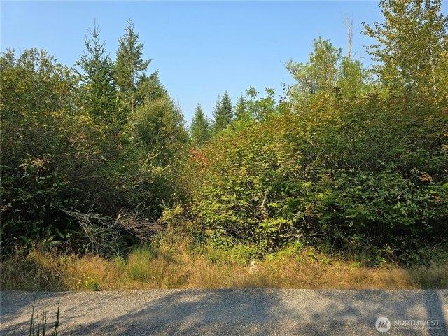 13849 Starflower Ln SE Lot 5, Yelm, WA 98597