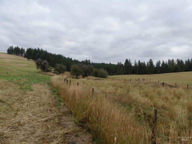 1385 Cottonwood Butte Rd