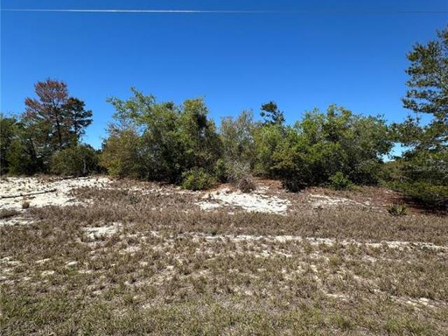 1386 Homosassa Dr, Kissimmee, FL 34759 | MLS #S5122