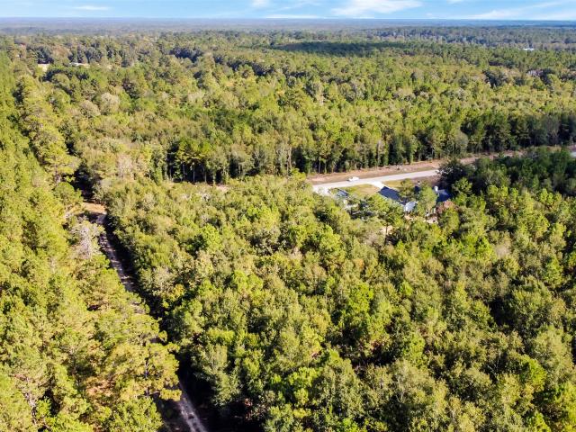1387 Road 6604