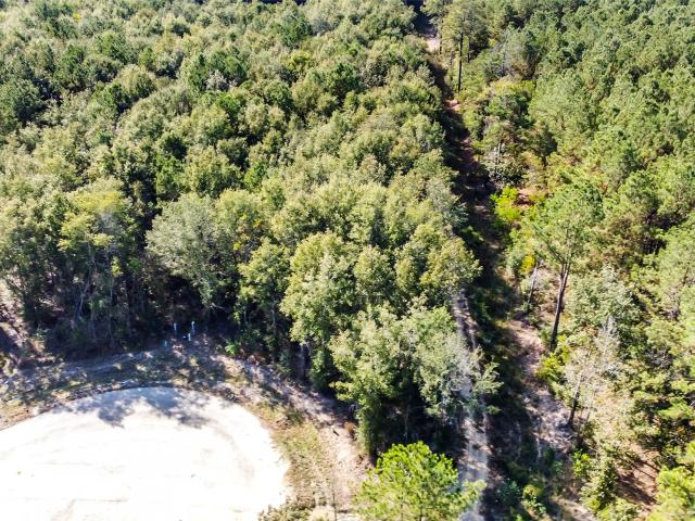 1387 Road 6604, Dayton, TX 77535 | MLS #78094