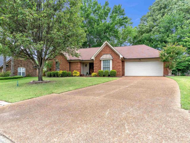 1387 sand creek cv