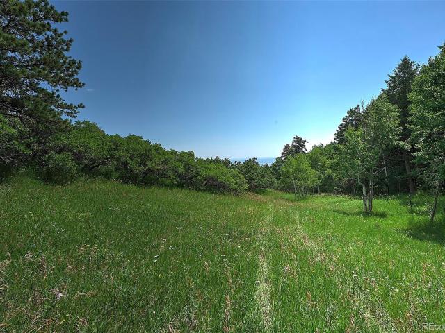 13884 N Trail Cir, Littleton, CO 80127 | MLS #3177