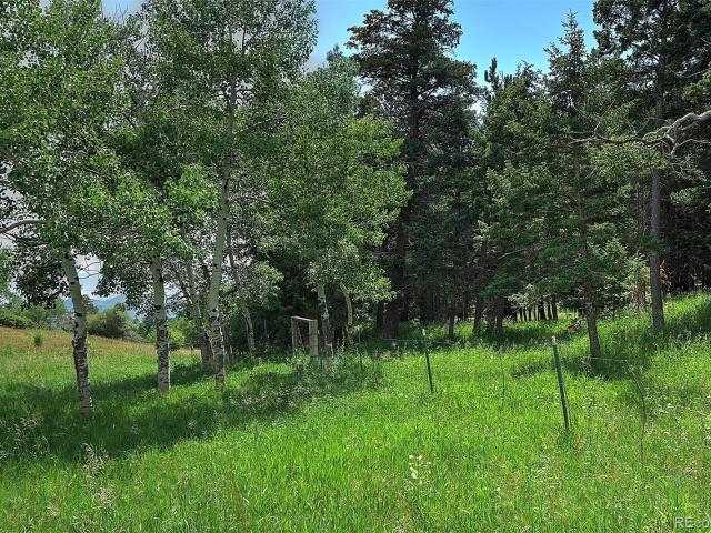 13884 N Trail Cir, Littleton, CO 80127 | MLS #3177