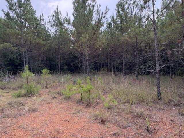 1388 County Road 1060