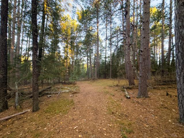 13895 Gazelle Trail