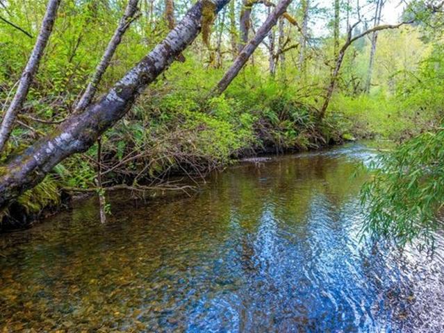 138000 WA 530 Lot 5, Concrete, WA 98237