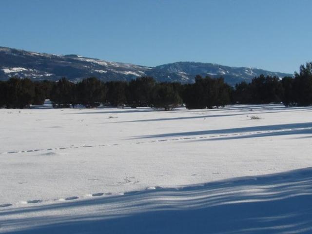 13800 N 6245 E Unit 4, Spring City, UT 84662