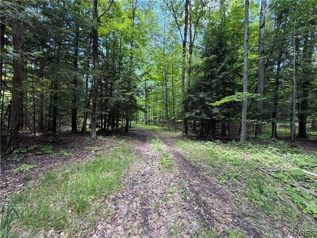 13800 Pritchard Rd, Springville, NY 14141