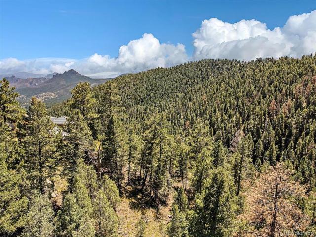 13809 Elsie Rd, Conifer, CO 80433 | MLS #5939