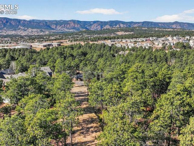 1380 Buckwood Ln, Monument, CO 80132 | MLS #8650