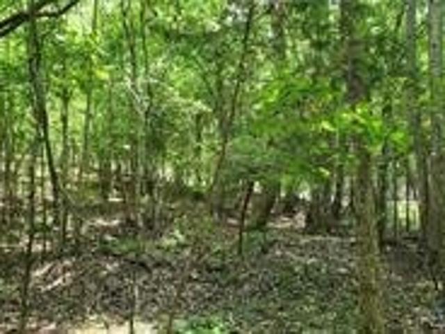 1380 Jasmine Road