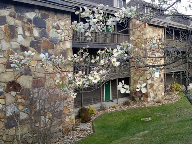 1380 Ski View Dr Apt 1301, Gatlinburg, TN 37738