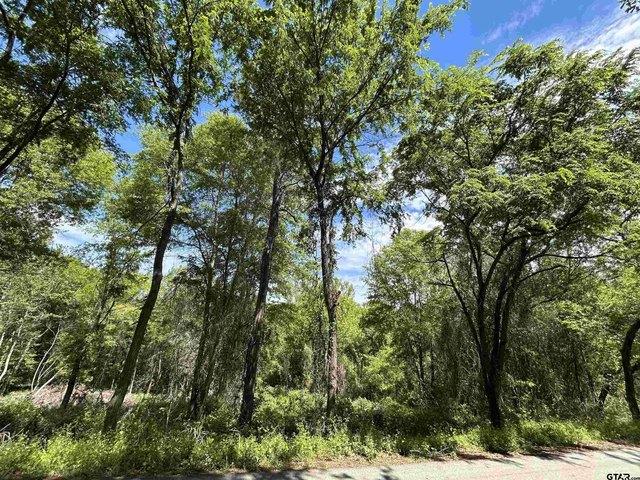 13912 Country Rd # 1250, Tyler, TX 75709