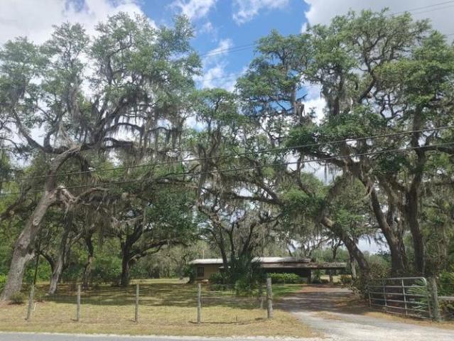 13815 NE 165th St, Fort Mc Coy, FL 32134