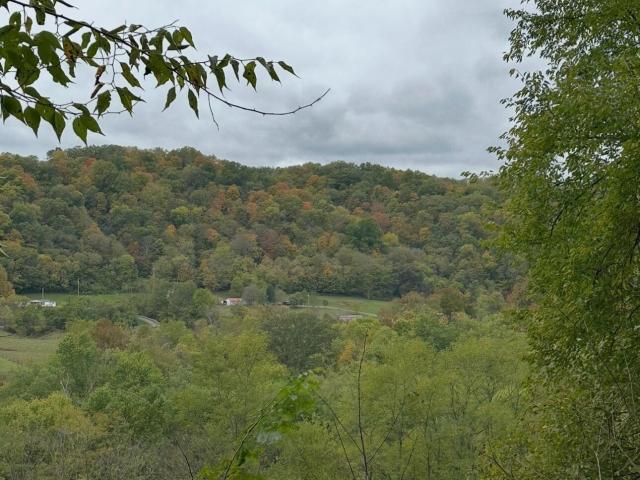 1381 Carlisle Rd