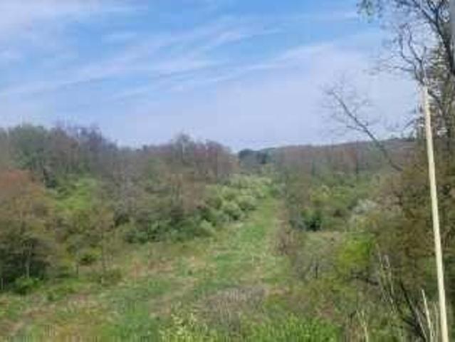 138 Beaver Run