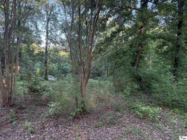 138 Buck Dr, Downsville, LA 71234