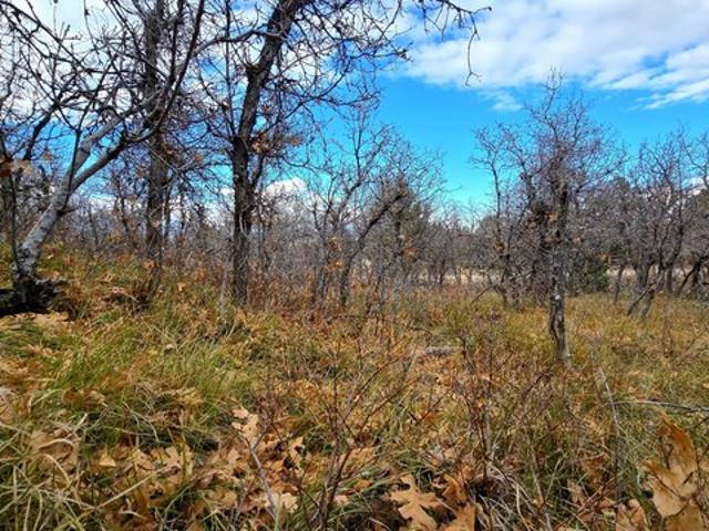 138 E Oak Ridge Dr Unit 138, Mount Pleasant, UT 84647