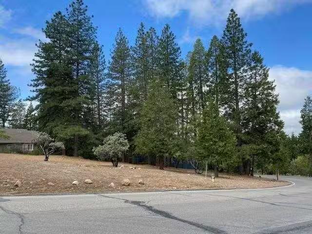 138 Forest Meadows, Murphys, CA 95247 648675629