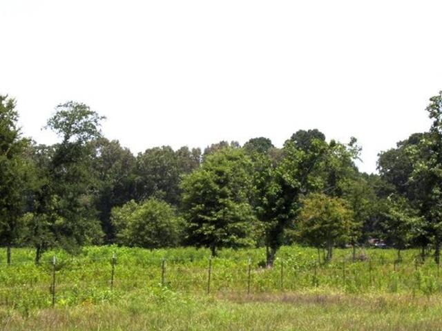 138 Little Riv # 183, Ashdown, AR 71822