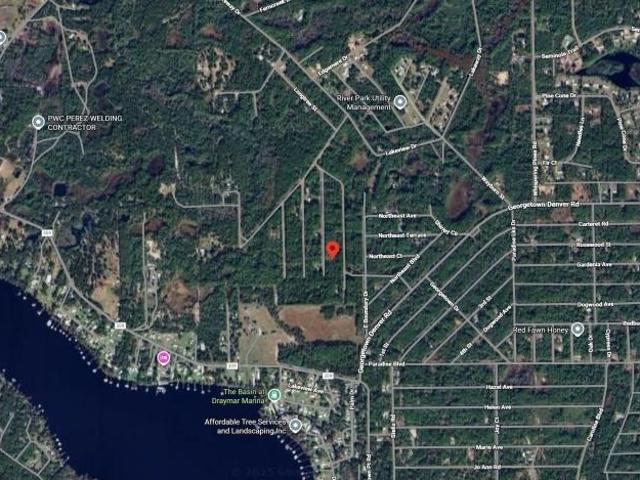 138 Mosswood St, Georgetown, FL 32139 | MLS #TB8485