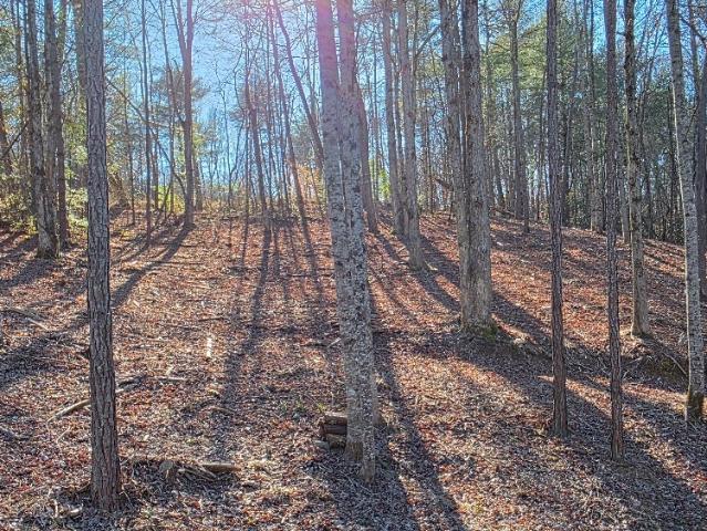 138 Red Oak Trail