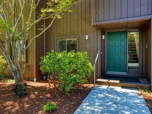 138 Tree Frog Lane