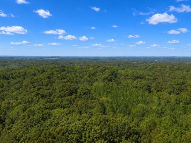 138 Vaughn Rd, Charlotte, TN 37036
