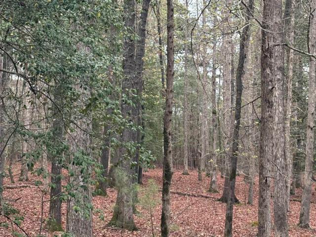 1394 Lake Road Lot 12 & 11