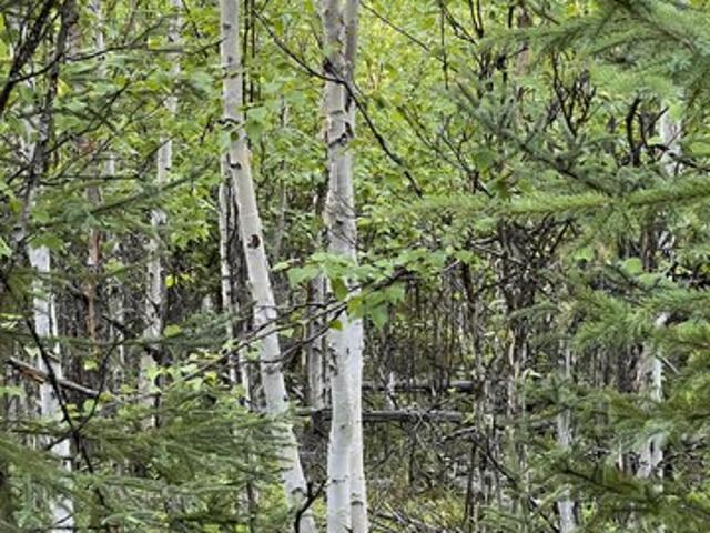 13957 W Aero Ln, Big Lake, AK 99652