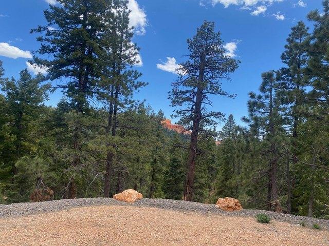 1395 W Canyon Breeze, Duck Creek Village, UT 84762