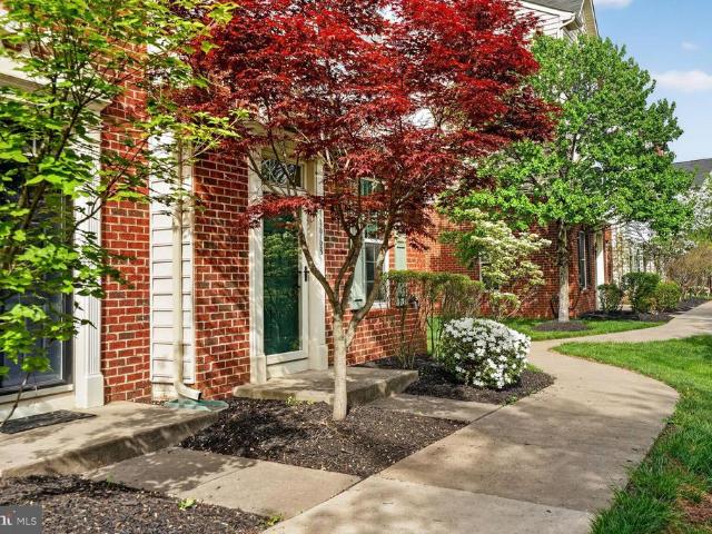 13966 Cannondale Way