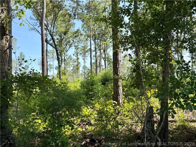 1396 Mercer Mill Road