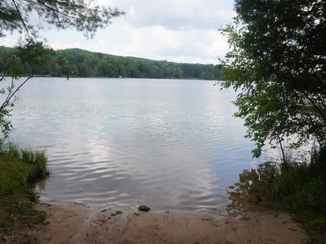 13992 Merril Ave NE, Kalkaska, MI 49646