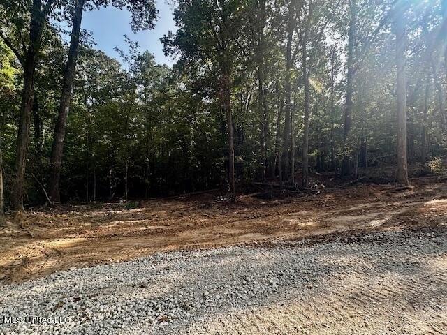 13997 Davenport Rd Lot 4, Byhalia, MS 38611