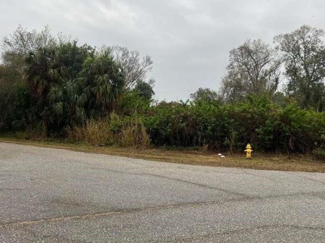 13901 Nassau St, Fort Myers, FL 33905 | MLS #226007