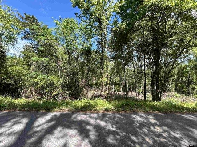 13904 County Road 1250, Tyler, TX 75709