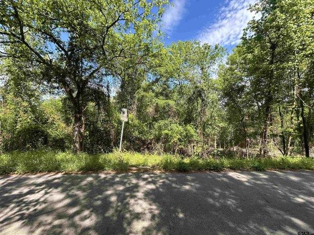 13908 County Road 1250, Tyler, TX 75709