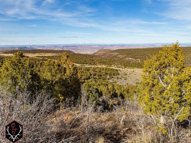 13913 Highway 141, Egnar, CO 81324