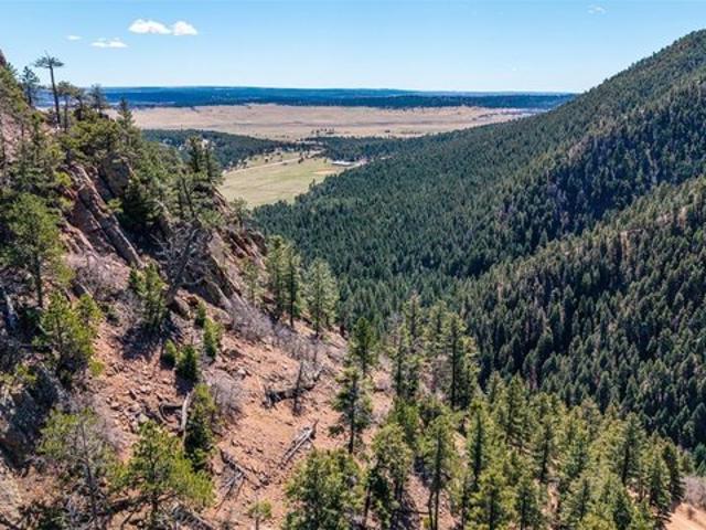 13912 Woodmoor West Dr, Larkspur, CO 80118