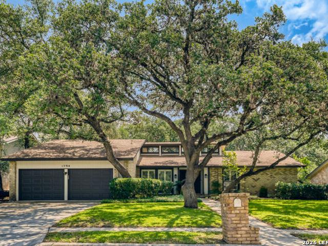 13914 Sugarberry Woods Street