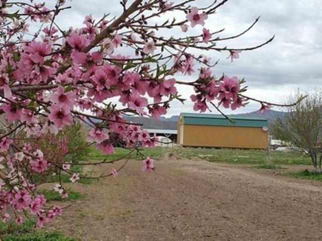 13915 N US Highway 70, Fort Thomas, AZ 85536