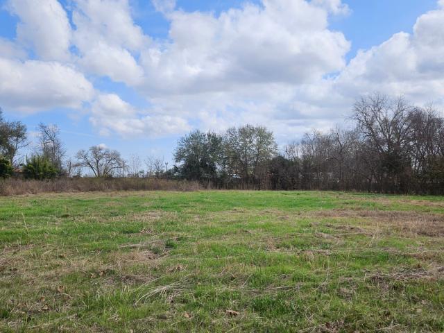 13921 Old Chocolate Bayou Road