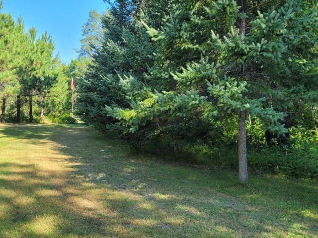 1393 Cottonwood Trail SW